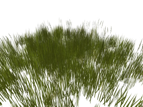 Second Life Marketplace - [TMC] Animated Grass with Wind Effect HUD Control