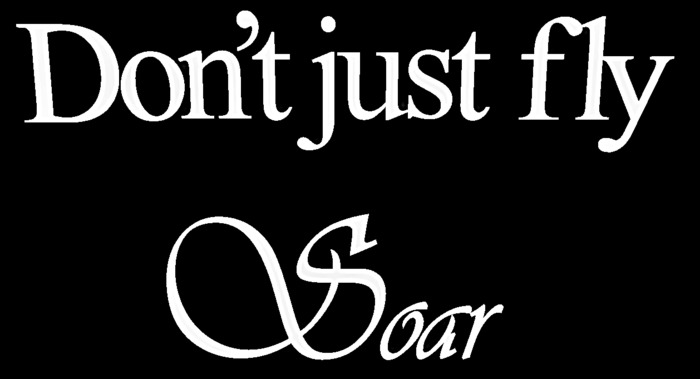 Second Life Marketplace - *OnE* Dont just fly, soar