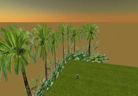 Second Life Marketplace - 20x20 Palm Tree Privacy Screen