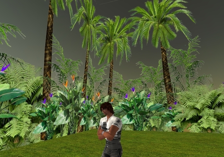 Second Life Marketplace - 20x20 Palm Tree Privacy Screen