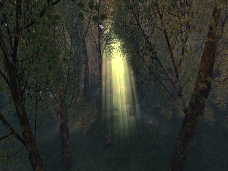 Second Life Marketplace - Sun Light Rays -Boxed-