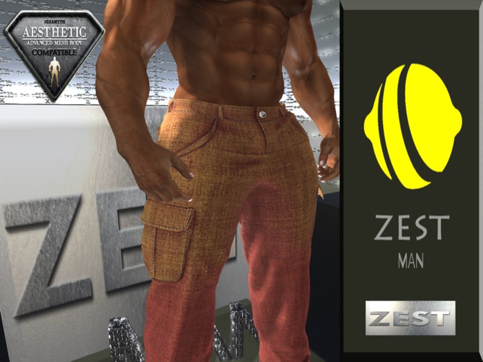 Second Life Marketplace - ZEST MAN AESTHETIC BURNT COFFEE OMBRE CARGO boxed