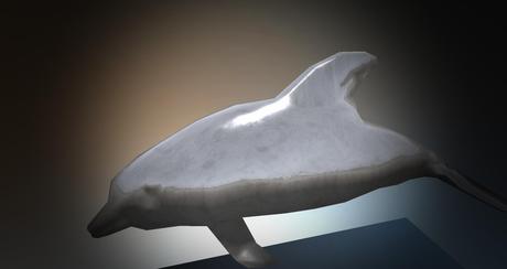 Second Life Marketplace - Sculpture Dolphin 2 Smooth (FULL PERM)
