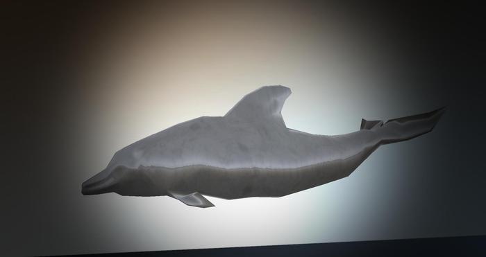 Second Life Marketplace - Sculpture Dolphin 3 Smooth (FULL PERM)
