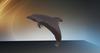 Second Life Marketplace - Sculpture Dolphin Smooth (FULL PERM)