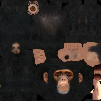 Second Life Marketplace - Monkey Chimpanzee Mesh Full Permission Monkeymo