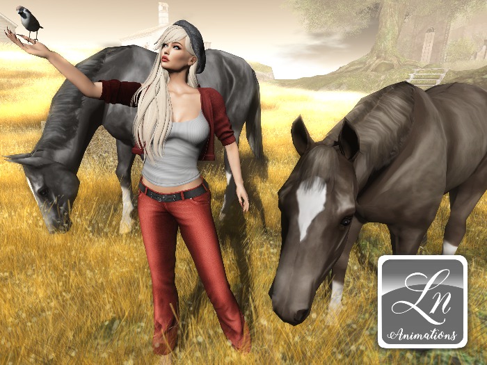 Second Life Marketplace - [LN] Animations - LookSkyHoldPose