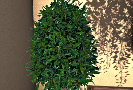 Second Life Marketplace - CJ Mediterranean Topiary + Peony