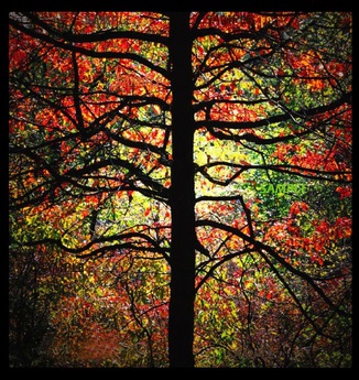 Second Life Marketplace - 4 Stain Glass Textures