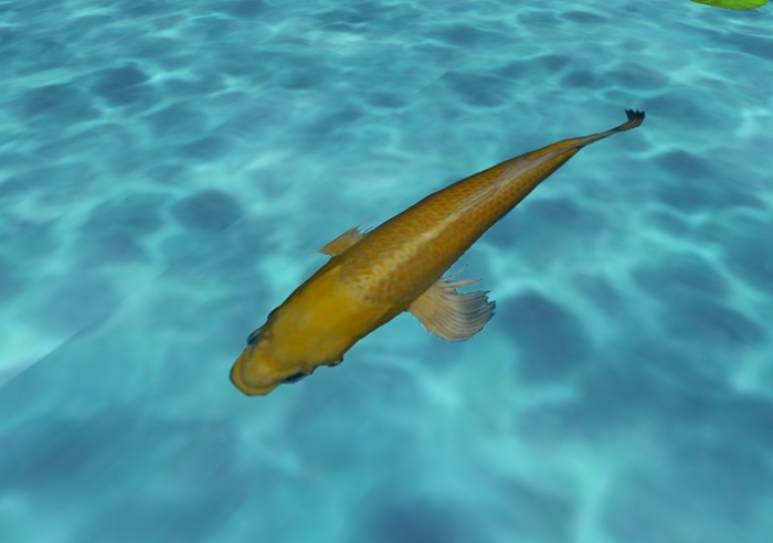 Second Life Marketplace - koi fish-v2