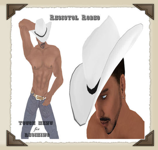 Second Life Marketplace - *DD*Resistol Rodeo White Felt Cowboy Hat