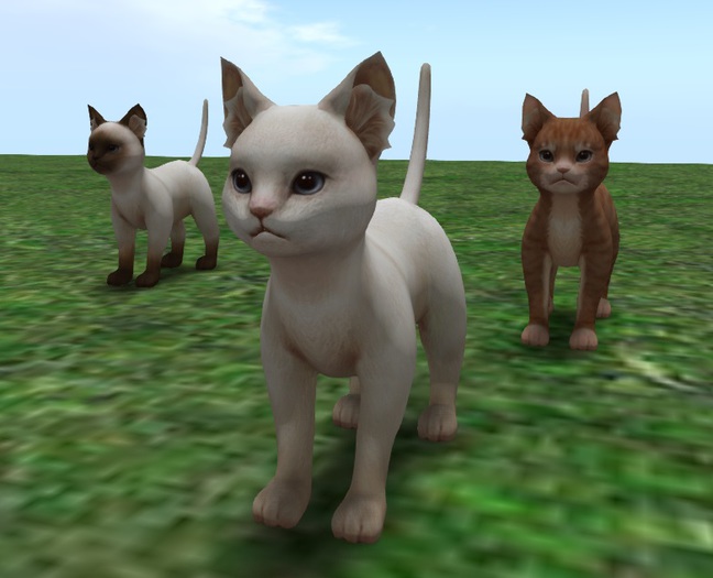 Second Life Marketplace - 1 Prim Standing White Cat [Mesh, Blinking ...