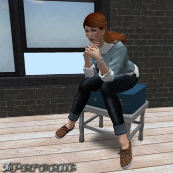 Second Life Marketplace Packing Suitcase Mesh