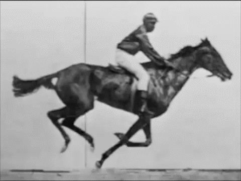 Second Life Marketplace - Sanna First Motion Picture Horse 1878 MP