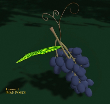 Second Life Marketplace - !M&E poses luxuria [pose/grape]