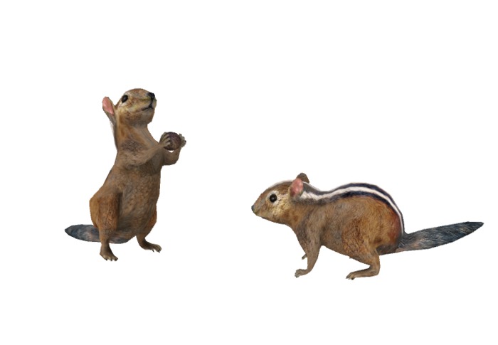 Second Life Marketplace - Two Chipmunks