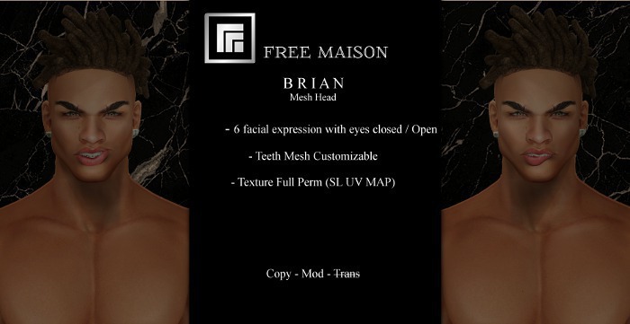 Second Life Marketplace - [F.M] Brian Mesh Head