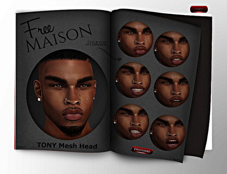 Second Life Marketplace - [F.M] Brian Mesh Head