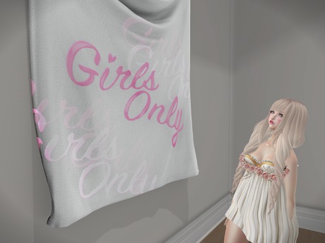 Second Life Marketplace - ~Misowei's~ 'Girls Only' Tapestry decor ...