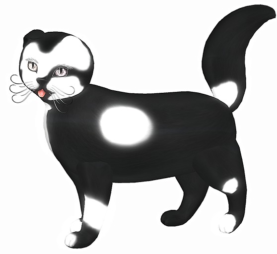 Second Life Marketplace - KittyCatS Box -♂ New Born Kitten 9T Chateau ...