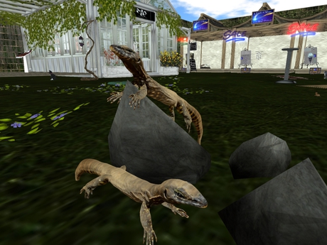 Second Life Marketplace - Monitor Lizards with and without sound 2