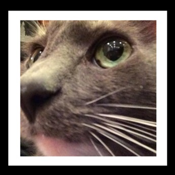 Second Life Marketplace Selfie