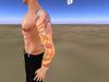 Second Life Marketplace - Tatoo Colorida