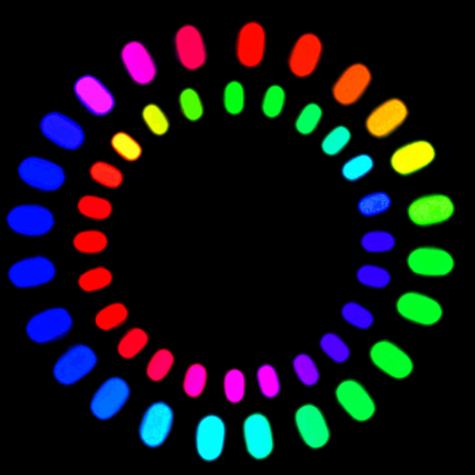 Second Life Marketplace Sanna Rainbow Lights Double Circle Set Mp