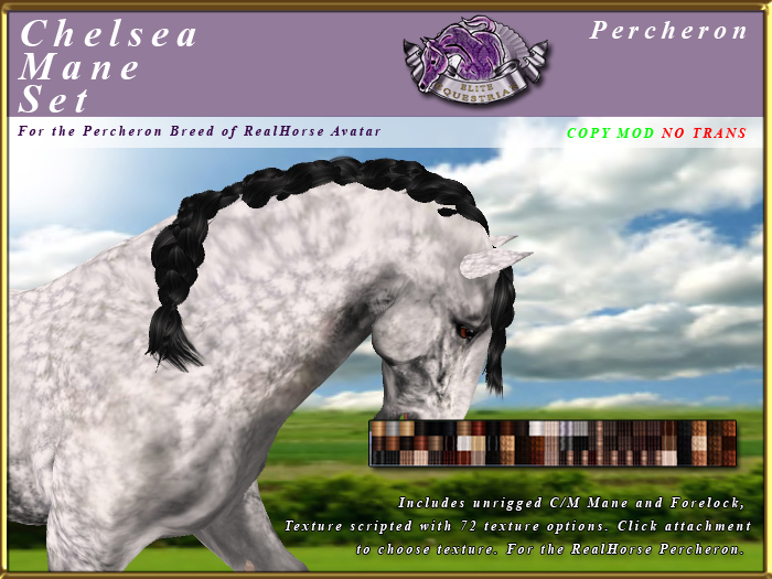 Second Life Marketplace - *E* Chelsea Mane & Forelock Set [BOXED] RH ...