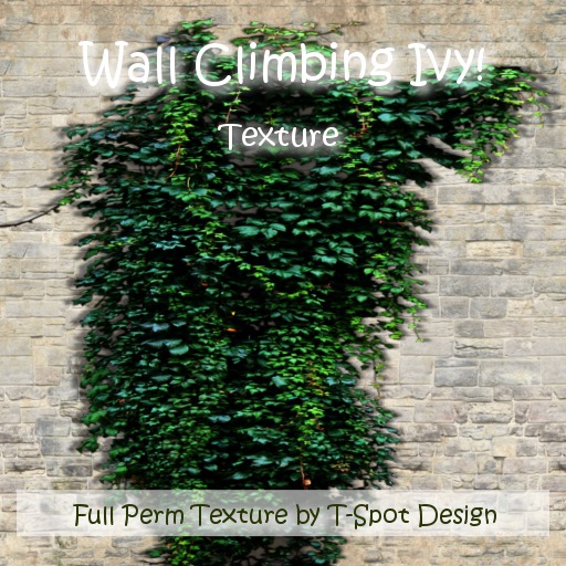 Second Life Marketplace - T-Spot Texture - Wall Climbing Ivy No. 2 ...