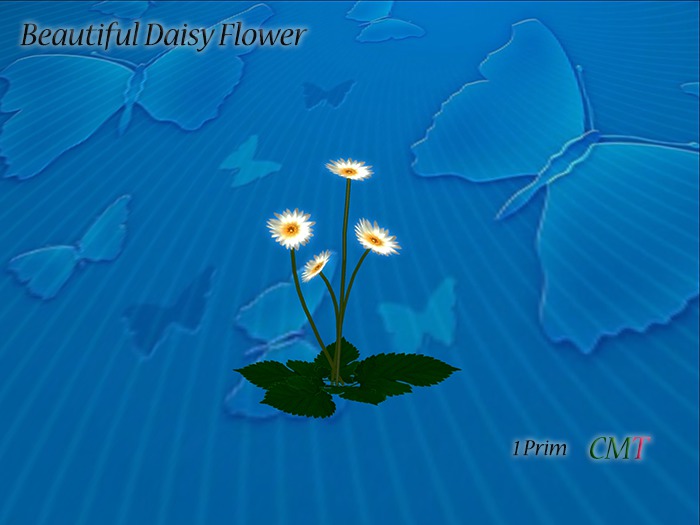 Second Life Marketplace - Beautiful Daisy Flower