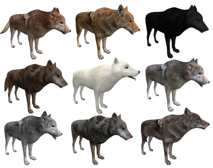 Second Life Marketplace - Medhue MEGA Wolf - Bento