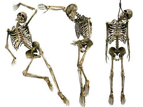 Second Life Marketplace - Skeleton Pack - Full Perm