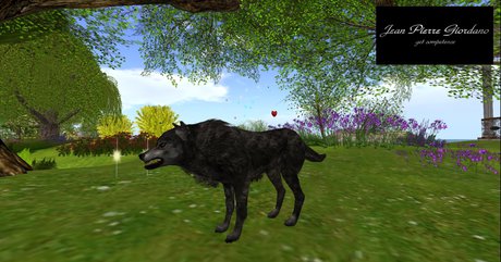 Second Life Marketplace - Wild Wolf