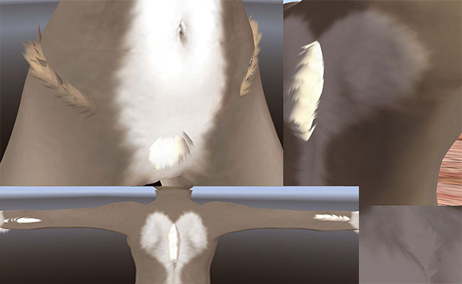 Second Life Marketplace - fur box