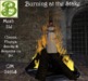 Second Life Marketplace - Burning at the Stake, with Chains, Flames ...