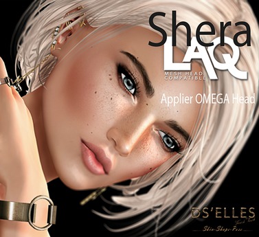 Second Life Marketplace - DS'ELLES-(BOX)( WEAR) Hud Omega for LAQ ...