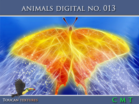Second Life Marketplace - [Toucan Textures] Animals digital No. 013