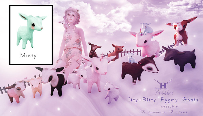 Second Life Marketplace - +H-Dr+ Itty-Bitty Pygmy Goat - Minty (Rez)
