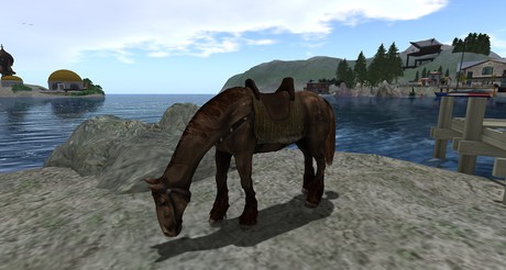 Second Life Marketplace - Pack 12 Horses - 4 colours [Copy]