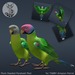 Second Life Marketplace - TABBY - Plum Headed Parakeet mod for TABBY Parrot