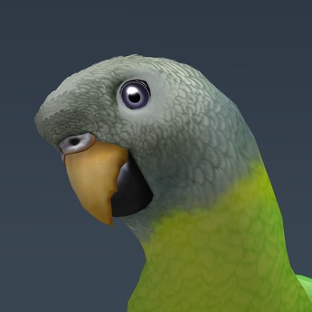 Second Life Marketplace - TABBY - Plum Headed Parakeet mod for TABBY Parrot
