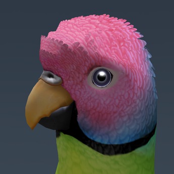 Second Life Marketplace - TABBY - Plum Headed Parakeet mod for TABBY Parrot