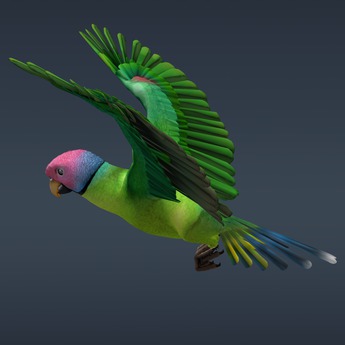 Second Life Marketplace - TABBY - Plum Headed Parakeet mod for TABBY Parrot