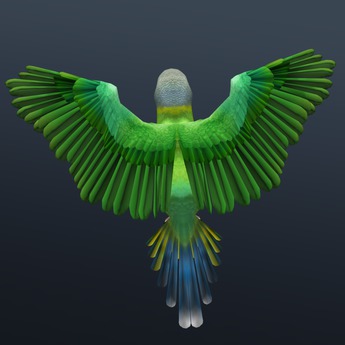 Second Life Marketplace - TABBY - Plum Headed Parakeet mod for TABBY Parrot