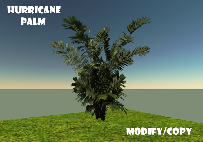 Second Life Marketplace - Hurricane Palm (Flexi)
