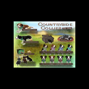 Second Life Marketplace - JIAN Countryside Collies ::Held Pup Sable BOX
