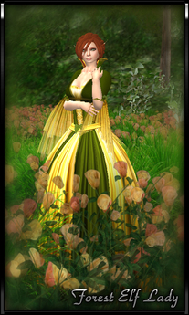 Second Life Marketplace - * Forest Elf Lady * Female Avatar