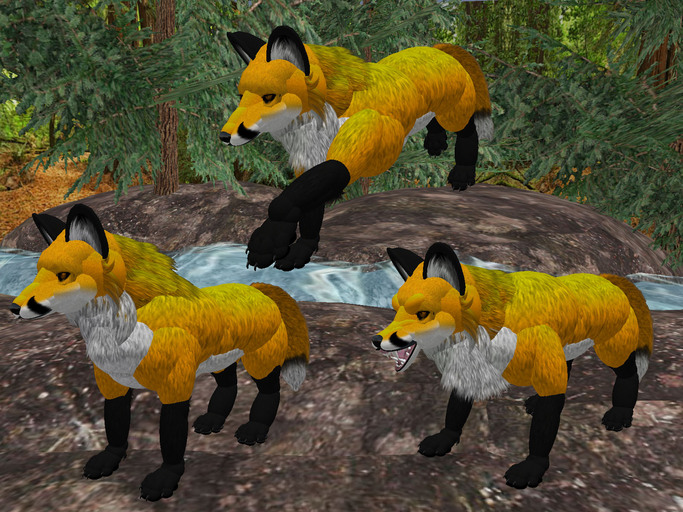 Second Life Marketplace - WereHouse Critters Golden Fox V3 (Quadruped ...