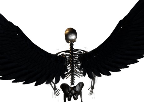 Second Life Marketplace - Dark Angel Avatar